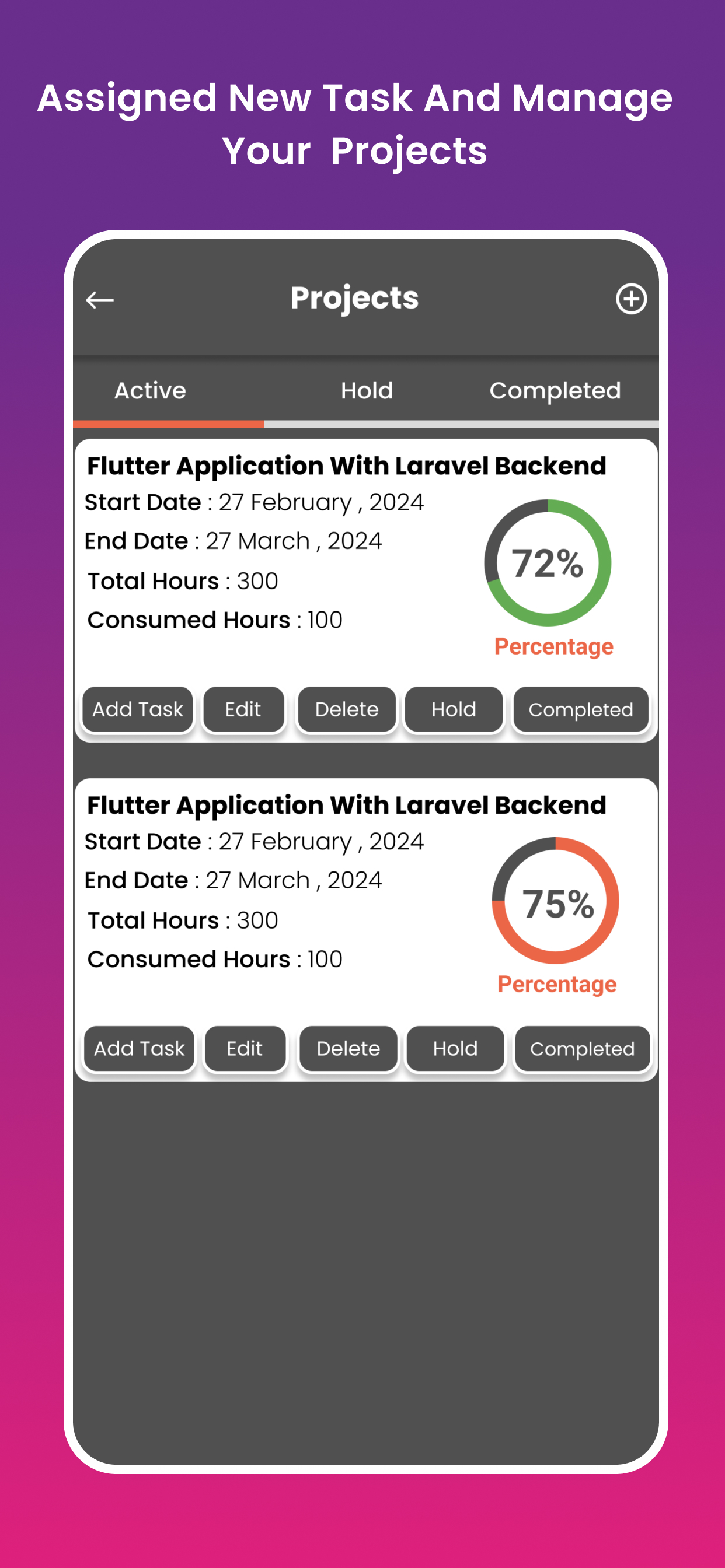 Punching - Project Management and Monthly Performance